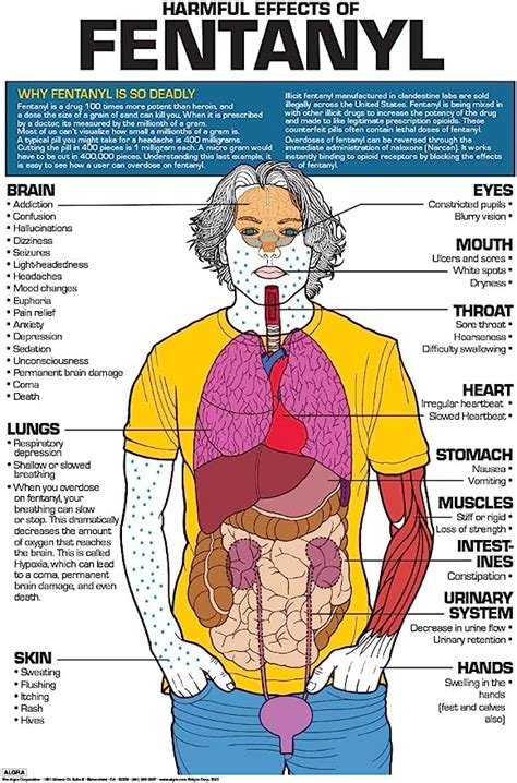 Effects Of Fentanyl Poster Amazonca Home