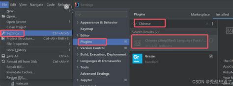 【idea】idea如何设置为中文idea汉化 Csdn博客