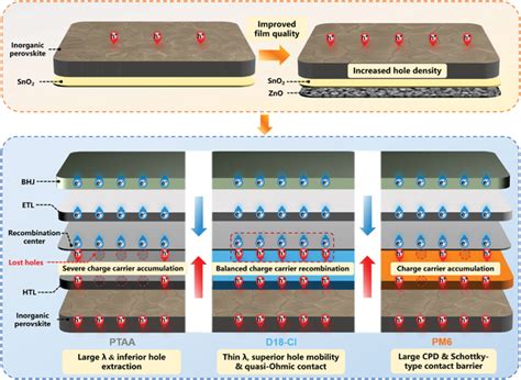 Schematic Of The Hole Transport And Charge Carrier Recombination In The