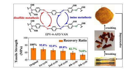 High Strength And Multi Recyclable Epoxy Vitrimer Containing Dual Dynamic Covalent Bonds Based