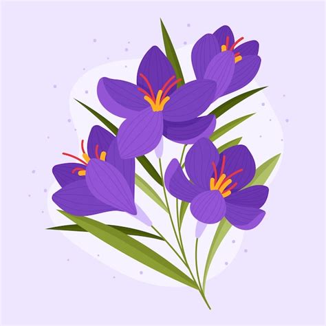 손으로 그린 사프란 그림 무료 벡터