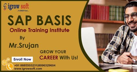 Top Sap Basis Online Training Institute In Usa Igrowsoft