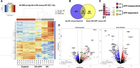 Transcriptome Profiling Of Isogenic Ipsc Derived Neuronal Cultures At