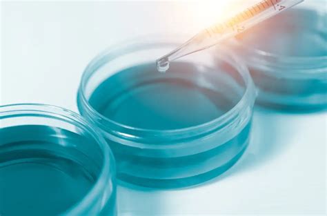 Toxicological Evaluation Of Medical Devices Measurlabs