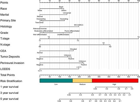 nomogram for predicting 1 3 and 5 year css in patients with