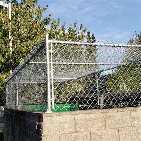 Chain Link Enclosure And Roof At Evie Beirne Blog