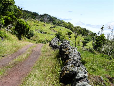 4 jours sur l île de Pico aux Açores par Fish Child ren