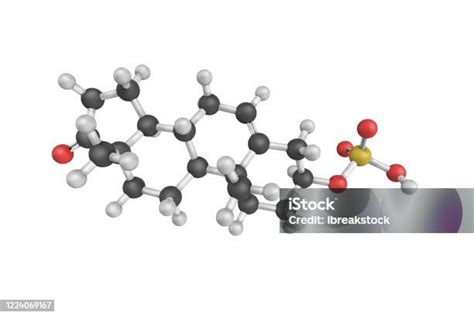 또한 프라스테론 황산염으로 알려진 Dehydroepiandrosterone 황산염 의 3d 구조 자연적으로 발생하는 내인성 안드로스탄 스테로이드와 신경 스테로이드 0명에