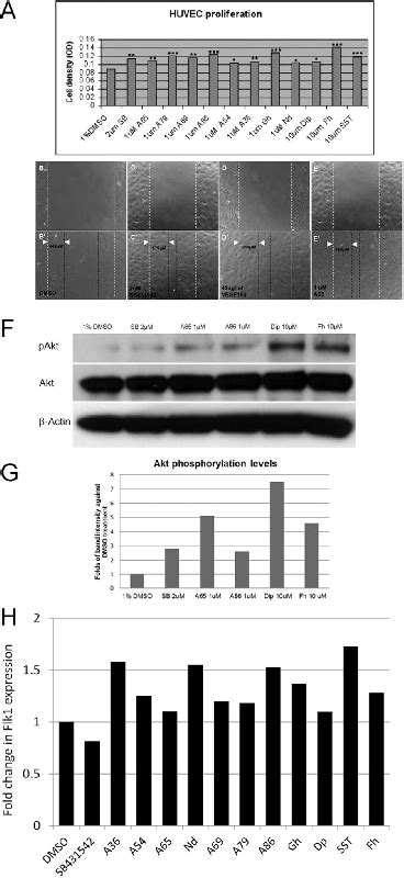 Figure 1 From High Throughput Screening For Bioactive Molecules Using