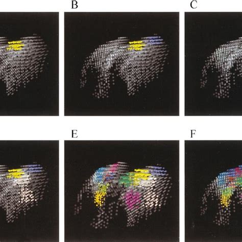 three dimensional representation of clustering algorithm for