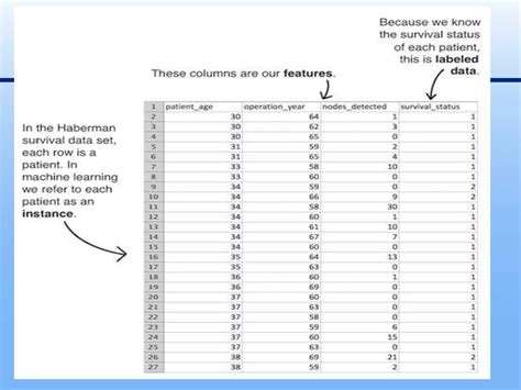 Nimrita Koul Machine Learning Ppt