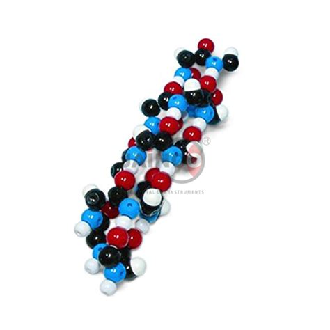 Alpha Helix Molecular Model Kit Manufacturers Supplier And Exporters In