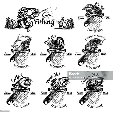 다른 물고기의 세트는 조각 스타일의 랜딩 그물에서 머리 메기 농어 연어 철갑상어 파이크 흰색으로 분리된 낚시 또는 낚시 가게