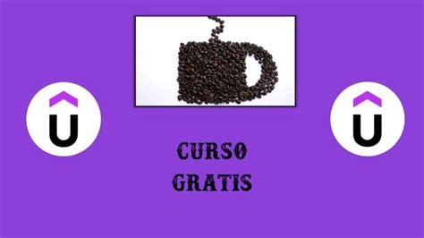 Curso Gratis De Java Para Principiantes
