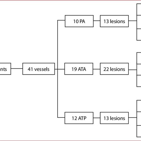 Vascular Segments Treated Number Of Lesions And Distribution Of