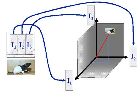 Principles Of Pca Dr Frank Dieterle