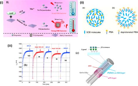 I Polymerization Of Dopamine In The Absence Of Alp Provides A Strong Download Scientific