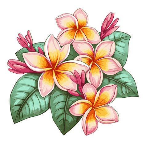 Tropical Flowers Cartoon Drawing