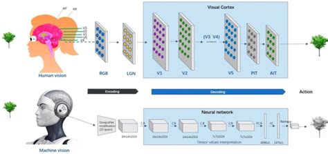 visual computing lab vcl certh iti on linkedin one piece at a time