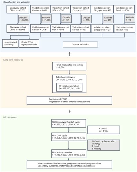 Pcos Subtypes And Outcomes A Data Driven Approach World Today Journal