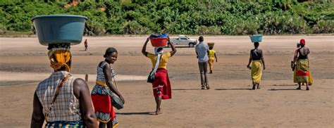 Value Chain Analysis Rare Fish Forever Data Portal