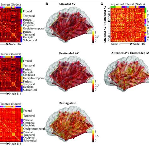 Correlation Matrices And Connectivity Patterns Of The Functional