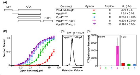 Figure 1 From Structural Basis Of Protein Translocation By The Vps4 Vta1 Aaa Atpase Semantic