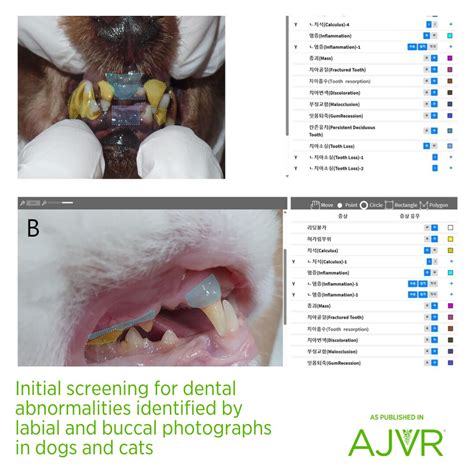 Avma Journals On Linkedin The Presence Of Calculus Persistent