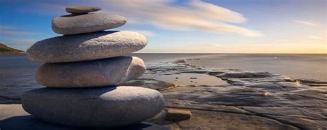 What Is Physical Intuition And Body Intelligence
