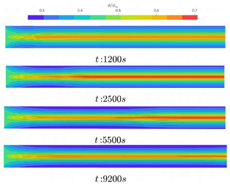 Evolution Of The Particle Volume Concentration In Time For φ B 03