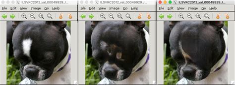 Worse Results Of Pytorch Reimplementation · Issue 202 · Jiahuiyu