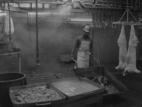 Killer Of Sheep The Criterion Collection