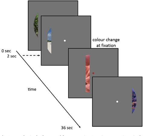 Figure 1 From Bayesian Population Receptive Field Modelling Semantic