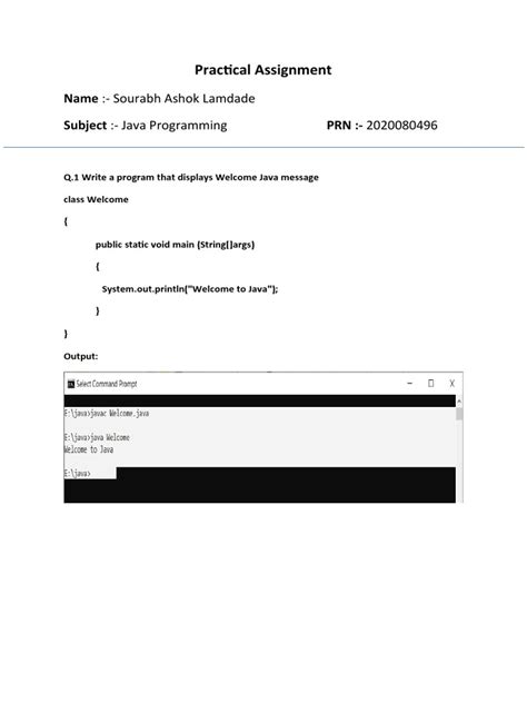 practical assignment java pdf method computer programming