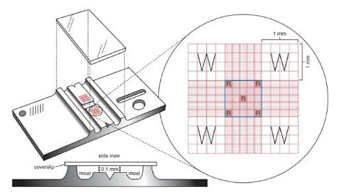 Csf Hemocytometer Procedure Hematology Laboratory Manual