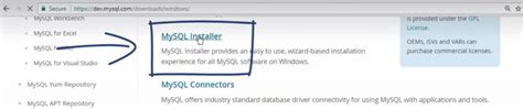 Install MySQL Get To Know The Interface Step By Step Guide 365 Data Science