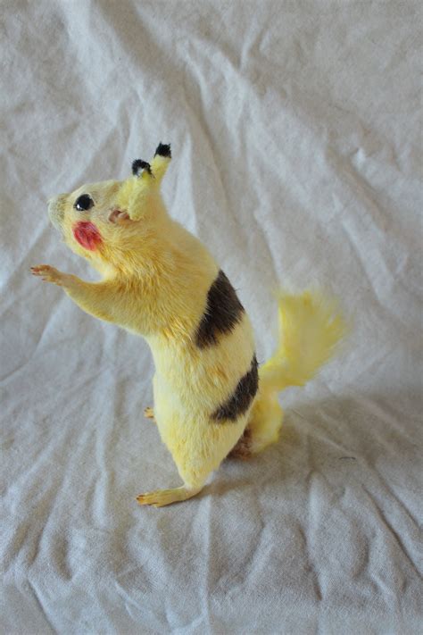 Taxidermy Cute Rat Pika Cartoon Japanese Taxidermy Rat Pika Etsy