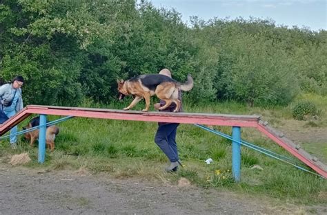 Друзья 18 мая в 14 часов на Автомобилистов 6 ИСПЫТАНИЯ по ОКД ЗКС Кто ещё не записался