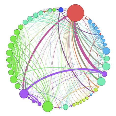 example of immune network at the end of the simulation the thickness