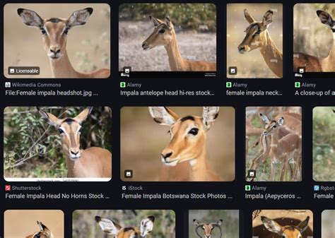 Devlog My Sprite Creation Process Aaron And The Void By Eyematerror