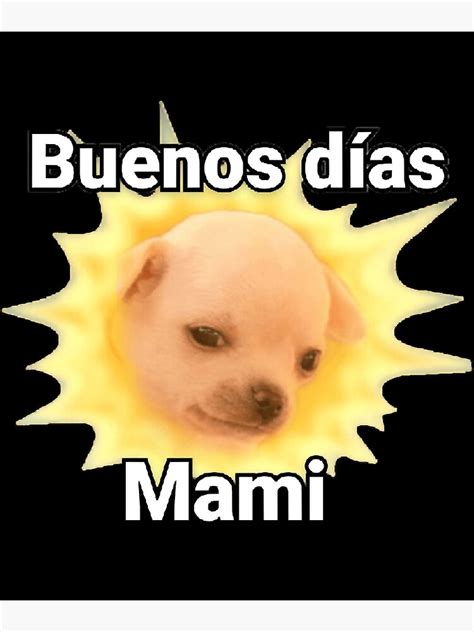 Buenos Dia Memes Buenos Dias Meme Funny Chistoso Buenosdias Gallo