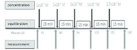 Depiction Of The Concentration Stages The Temporal Sequence Of Nsaid Download Scientific