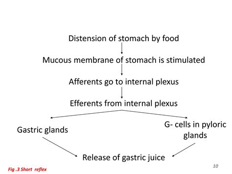 Gastro Intestinal Reflexes Pptx