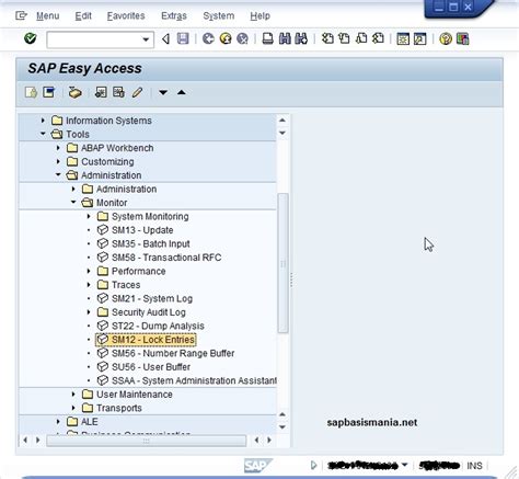 SAP Basis To Monitor SAP Locks