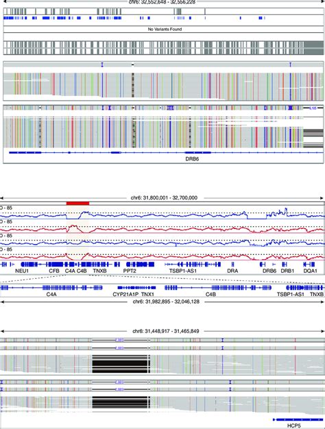 Accurate Genetic Variant Calling Using The Targeted Download Scientific Diagram