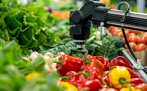 Advanced Sensors For Food Safety