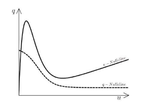 A Typical Graph Of The Nullclines Of System 28 In The U Q