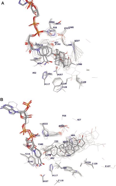 Superposition Of 12 Monte Carlo Minimized Structures Of The Ternary Download Scientific Diagram
