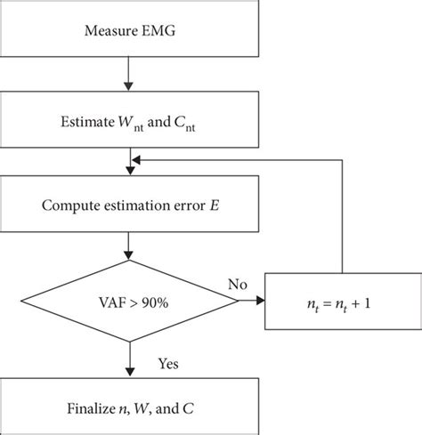 A A Conceptual Mathematical Model For Identifying Muscle Synergies