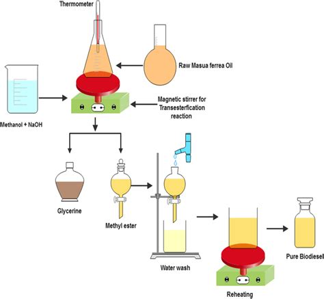 The Transesterification Process Download Scientific Diagram